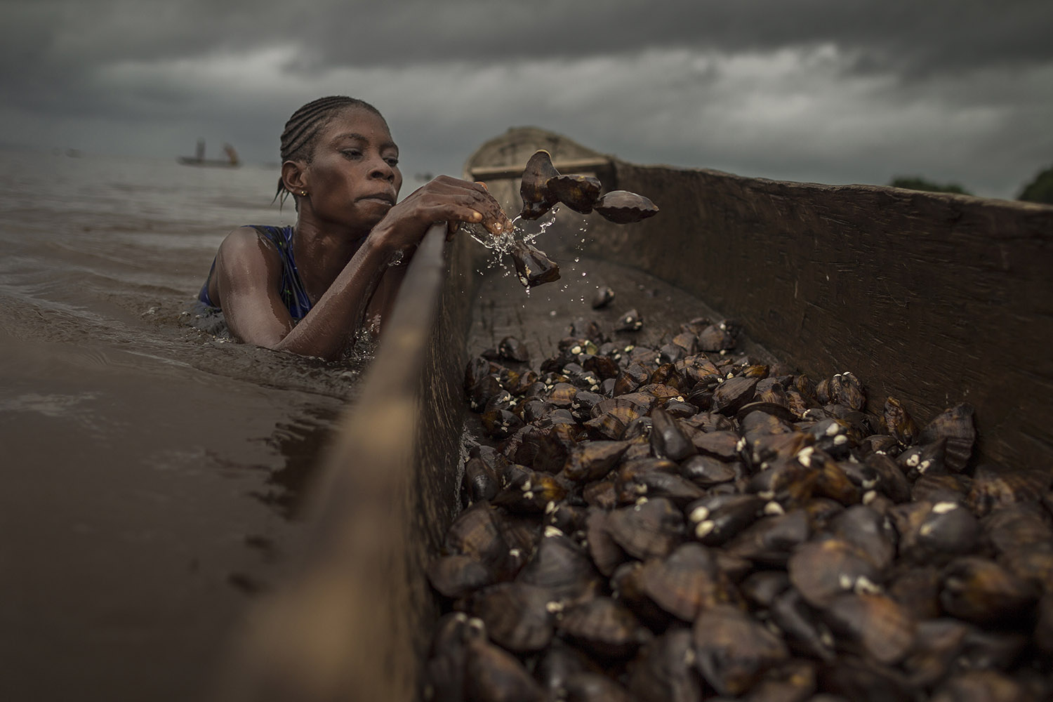 FLEUVE CONGO RIVER – Le monde des flamboyants